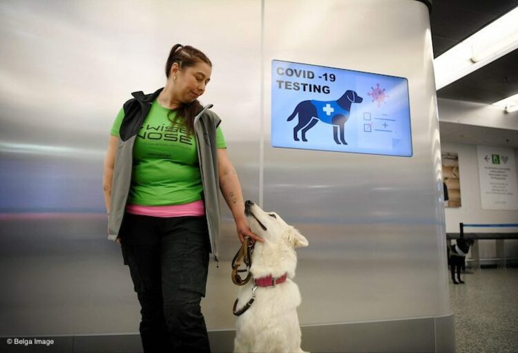 La Task Force Testing renonce à l'utilisation de chiens de détection ...