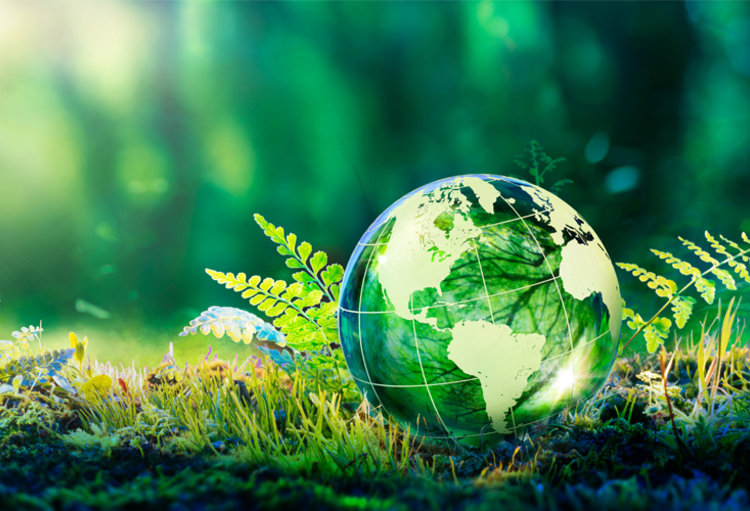 Coalitie van milieu- en gezondheidsorganisaties eist "gespierder ...