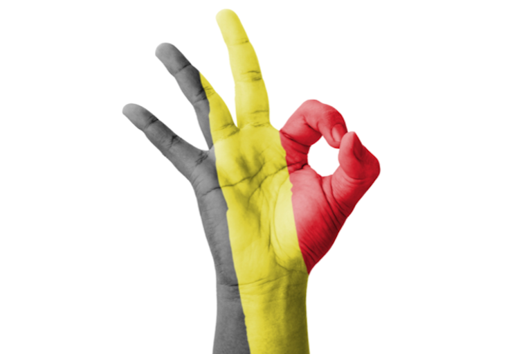 La santé, principal déterminant du bien-être individuel des Belges - Le ...