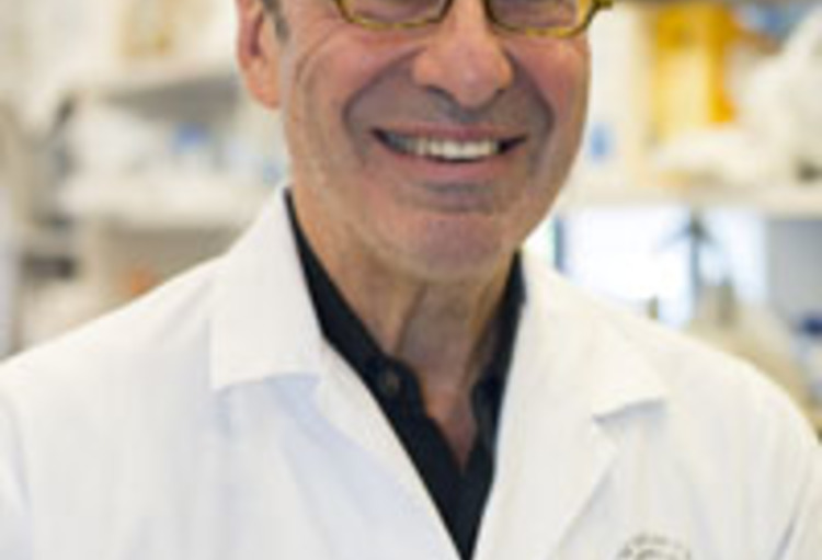 Décès de Mark Wainberg, un pionnier de la recherche contre le sida ...