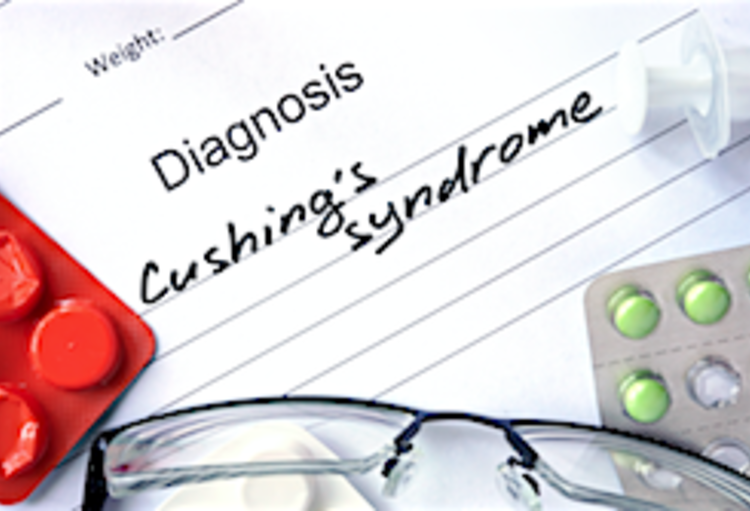 Syndrome de Cushing et hypercortisolisme infraclinique: quel pronostic ...