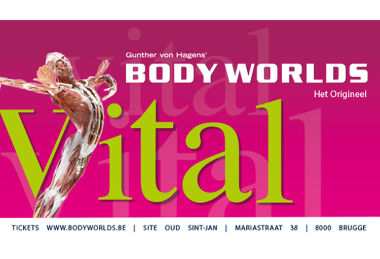 Expo Body World Vital keert terug naar Brugge - Farma-Sfeer