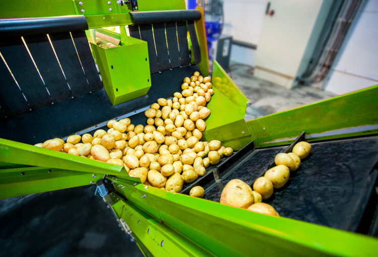 Oorzaak zieke werknemers bij Clarebout Potatoes nog niet bekend - Medi ...