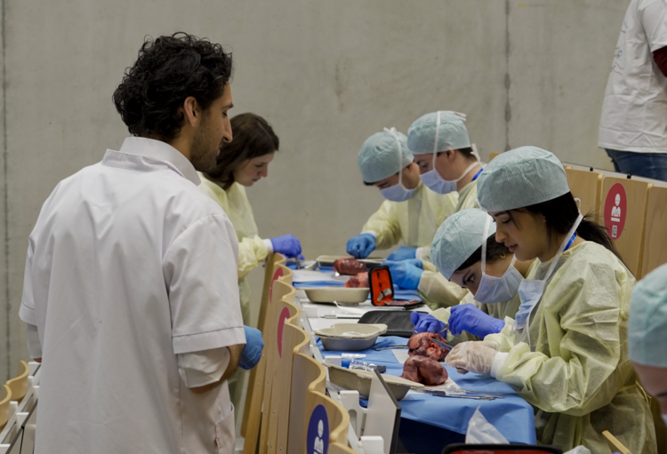 MedCup 2024 : quand les étudiants en médecine testent leurs aptitudes ...