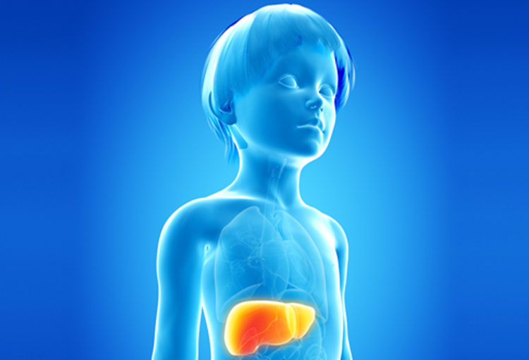 Derde geval van acute hepatitis in ons land ontdekt - De Specialist