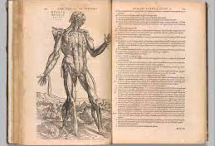 La KU Leuven célèbre le retour du traité d'anatomie "Fabrica" de Vésale ...