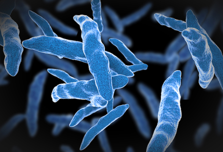 ImmunoStart: la prévention centralisée pour les patients en ...