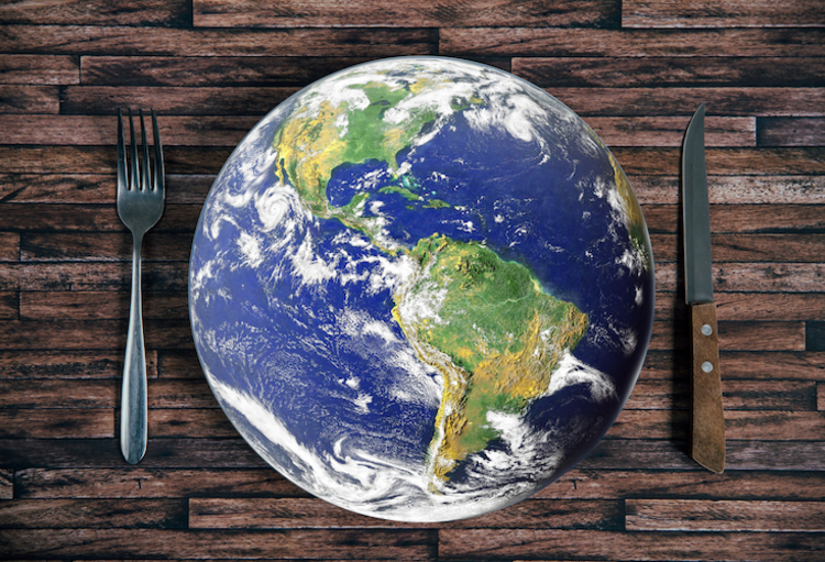 Excès ou pénurie de nourriture, un drame alimentaire majeur dans le ...