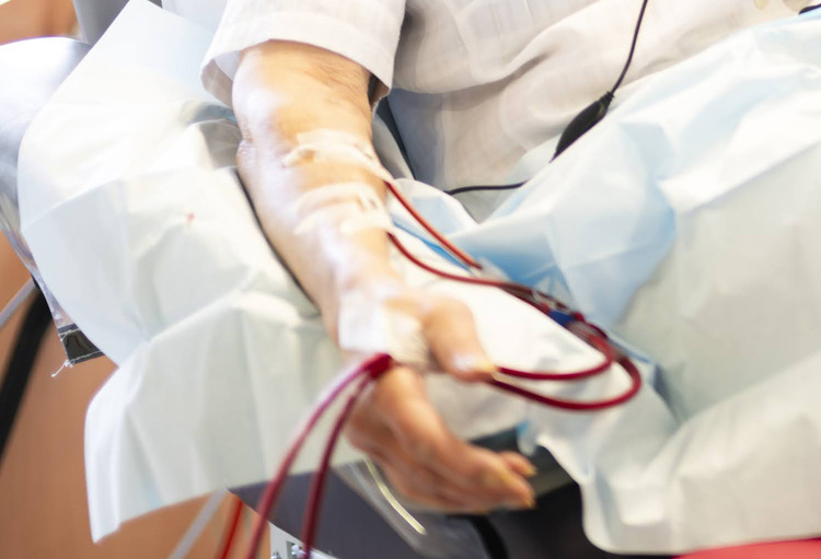 Drépanocytose : la Citadelle mobilise médecins et patients le 18 juin ...