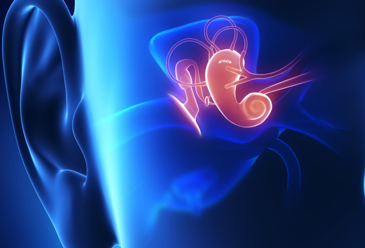 Afsud: premières greffes mondiales d'os de l'oreille moyenne fabriqués ...