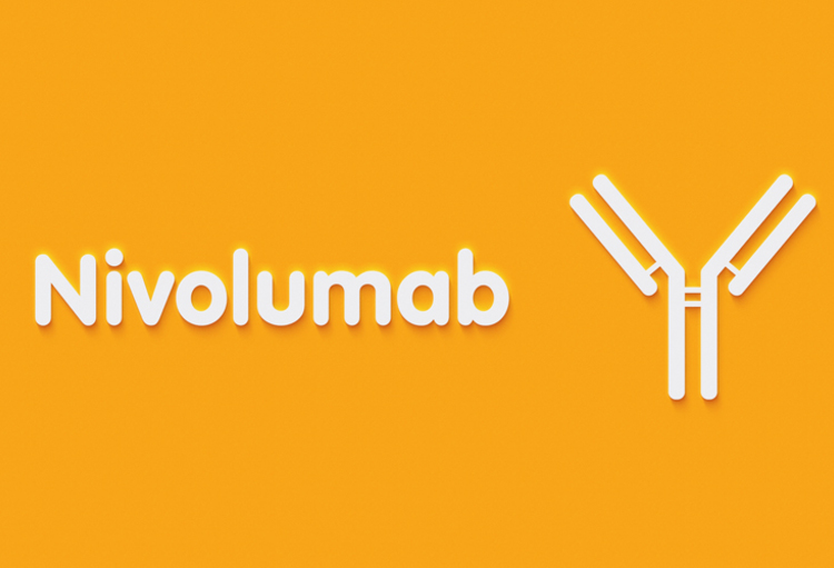 CheckMate 204: première étude de phase II associant nivolumab et ...