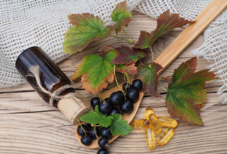 Mieux connaître les plantes qui nous entourent: le cassis et le frêne ...