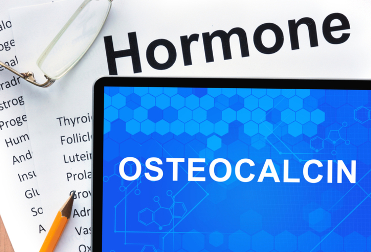 Un rôle de l’ostéocalcine dans le diabète cortico-induit? - Ortho-Rhumato